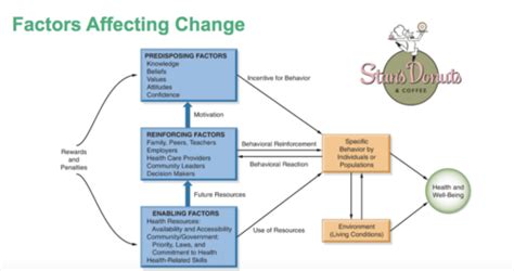 505 Lecture 3 Planning Implementation And Evaluation Flashcards Quizlet
