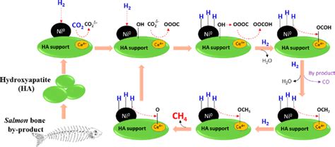 Schematic Representation Of Co 2 Methanation On Ceria Doped Ni Ha