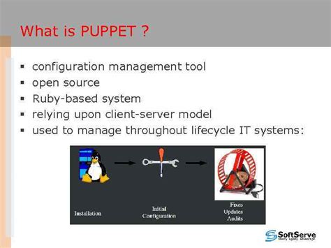 Puppet Configuration Management Tool Vitaliy Sinyayev