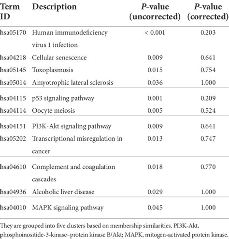 Pathway Enrichment Analysis Revealed 11 Significantly Enriched Pathways Download Scientific