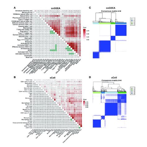 Correlations Of Immune Cells A B Correlation Of Immune Cells In Download Scientific