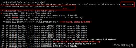 Centos7网卡 Failed To Start Lsb Bring Updown Networkingcentos7 Failed To Start Lsb Csdn博客