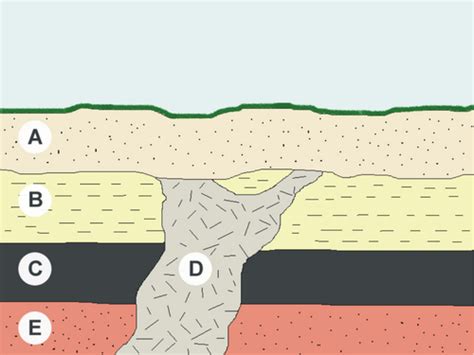 Rock Strata Terms Diagram Quizlet