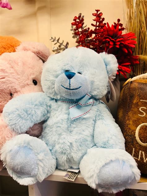 Cuddly Bear Buy Online Or Call 01427 610226