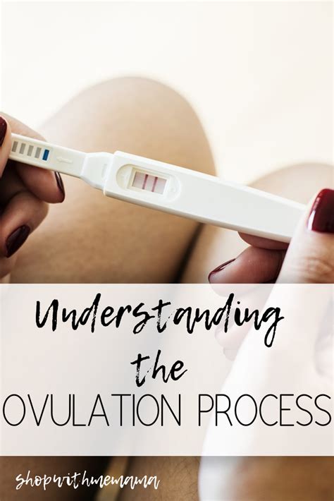 Understanding Ovulation Artofit