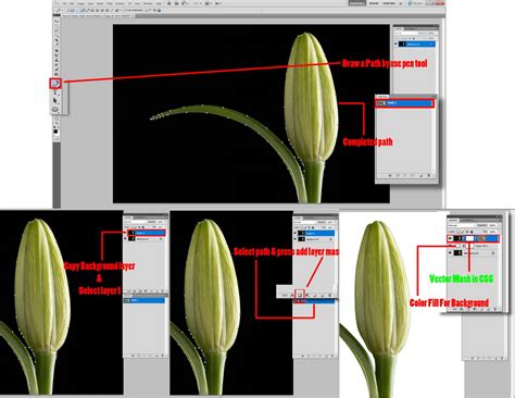 Basic Masking In Photoshop CS Easily Explained CCI