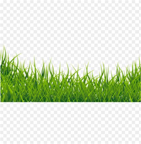 Grass Vector Border Hd Png