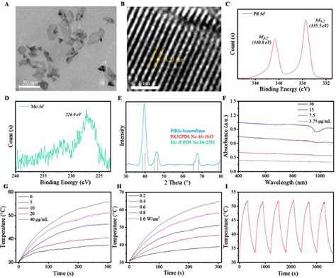 Hdac6 Inhibitor Loaded Bimetallene Nanosheets With Antagonizing