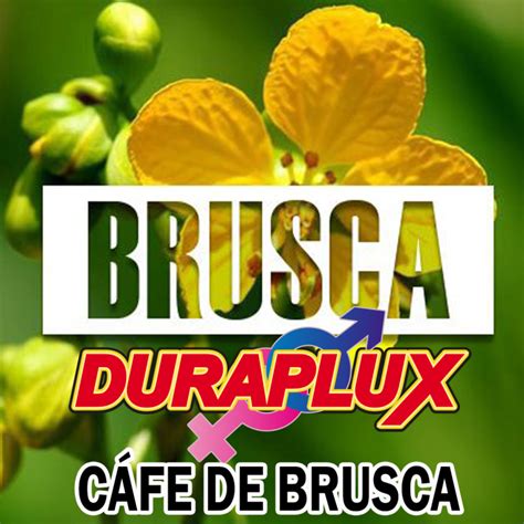 Café De Brusca Para Qué Sirve Duraplux