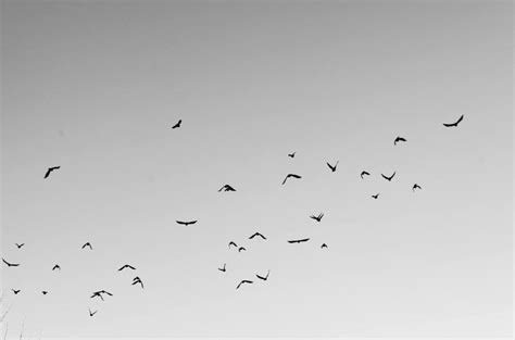 crear una app interactiva usando fastapi y react ejemplo de integración… ismael gonzález oviedo