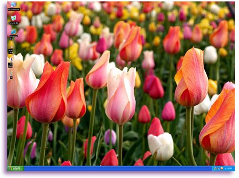 🔥 [60 ] Free Rotating Wallpapers And Screensavers Wallpapersafari