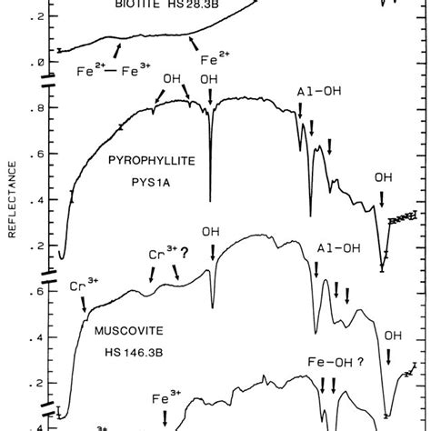 Examples Of Reflectance Spectra Of Minerals In The 04 3 μm Wavelength Download Scientific