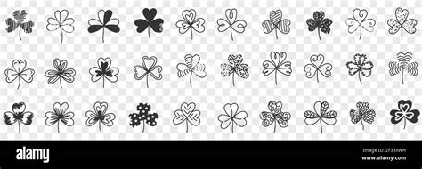 Clover Plant Pattern Doodle Set Collection Of Hand Drawn Natural Clover Plants Of Various