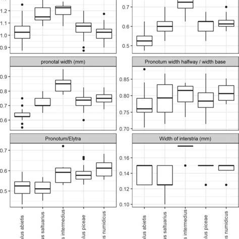 The Variation Of Measured Characters In Five European Cryphalus Species