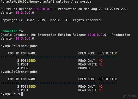 Oracle 19c 多租户删除pdb51cto博客oracle 多租户 Oracle 19c 多租户删除pdb51cto博客oracle 多租户