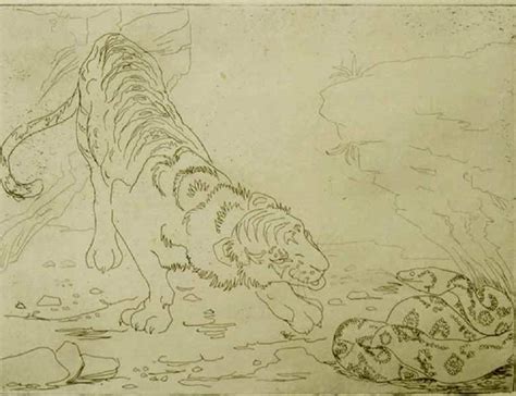 Orovida Pissarro Tiger And Python By Orovida Pissarro 1917 Etching Print For Sale At 1stdibs