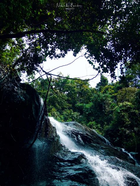 ශ්‍රී ලංකාවේ වැසි වනාන්තර සහ වනජීවී සම්පත කහපත් ඇල්ල