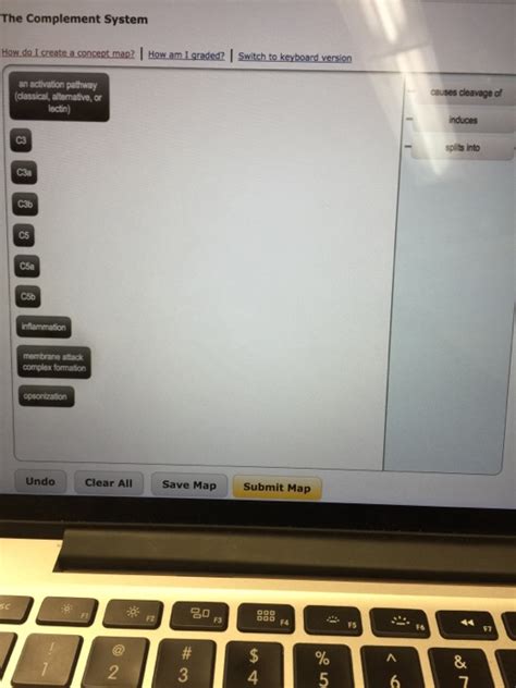 Solved The Complement System How Do Lcreate A Concept Map I