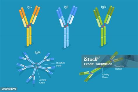 3d Isometric Flat Vector Conceptual Illustration Of Different Types Of