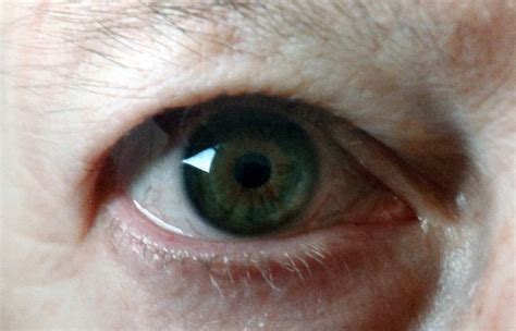 Jay Jaroslav At Gloucesters Trident Gallery Charles Giuliano Berkshire Fine Arts