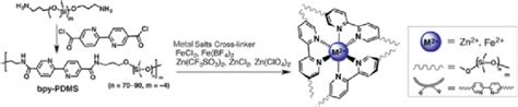 The Synthetic Route Of Polydimethylsiloxane Pdms Cross Linked