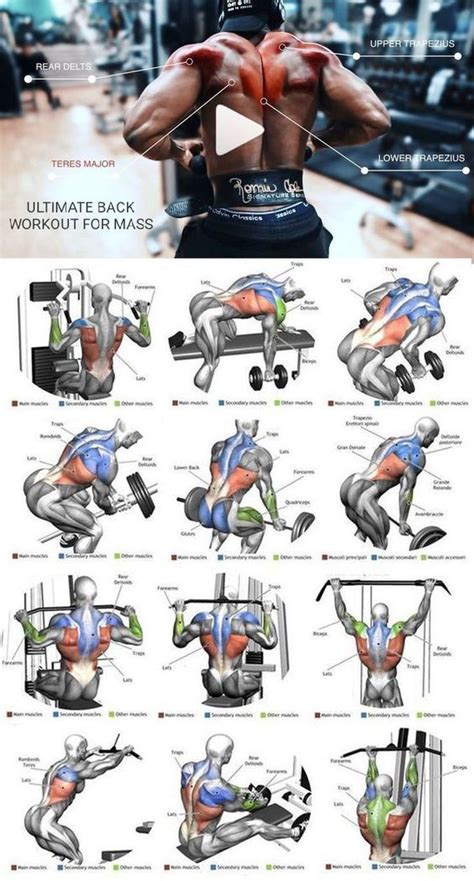 Ultimate Back Workout For Mass Muscle Growth Gym Workout Tips