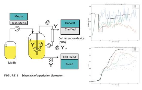 Polymodels Hub On Linkedin Hybrid Modeling For In Silico Optimization Of A Dynamic Perfusion Cell