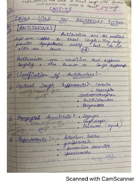 Unit Respiratory System Pdf
