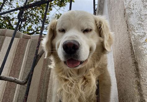 Natascha Buresch On Linkedin Its All About A Positive Mindset