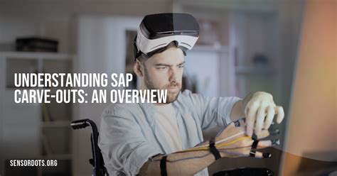 Understanding Sap Carve Outs An Overview Sensor Dots
