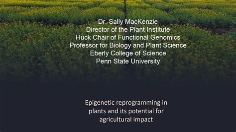 Epigenetics Reprogramming In Plants And Its Potential For Agricultural