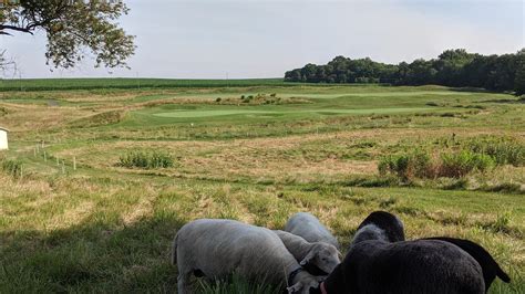 Gallery Wyncote Golf Club