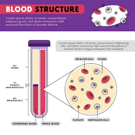 Hematocrite Vectors And Illustrations For Free Download Freepik