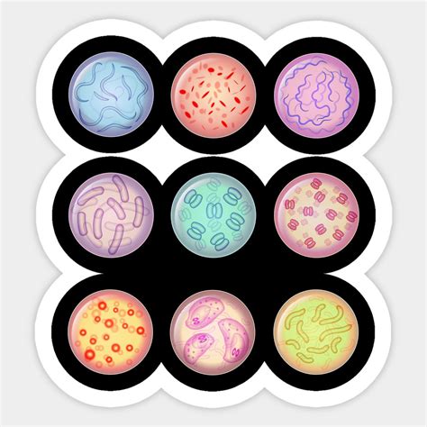 Colorful Bacteria Culture Colonies Sticker Set