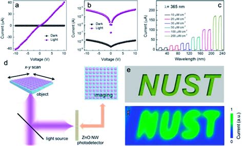 Nanowire Network Based Photodetectors With Imaging Performance For Omnidirectional