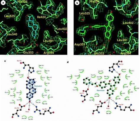 Agonist And Antagonist Binding Modesa The 31 Å Resolution Six Fold