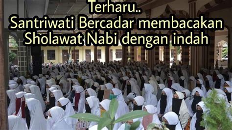 Sholawat Viral Santriwati Bercadar Youtube