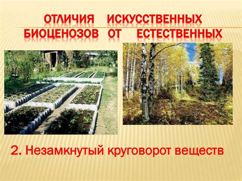 Искусственные сообщества 5 класс презентация онлайн