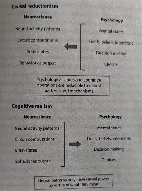 Evolving Beyond Determinism By Stetson Holodoxa