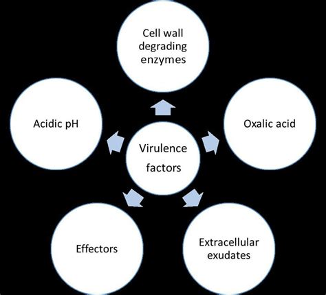 Mass Spectrometry Based Proteomics For The In Vitro Profiling Of Download Scientific Diagram