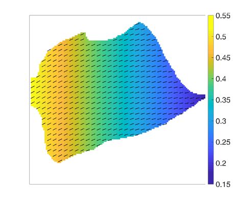 Representative Example Of Spatial Distribution Of The Fiber Angular Download Scientific Diagram
