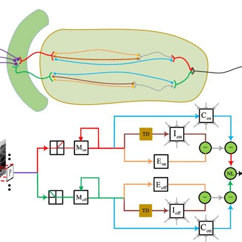 Qinbing Fu Professor Associate Doctor Of Philosophy In Computer Science Guangzhou