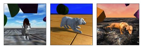 Domain Randomization For Neural Network Classification