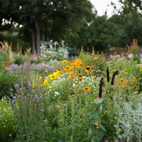 23 Creative Pollinator Garden Ideas To Boost Your Backyard