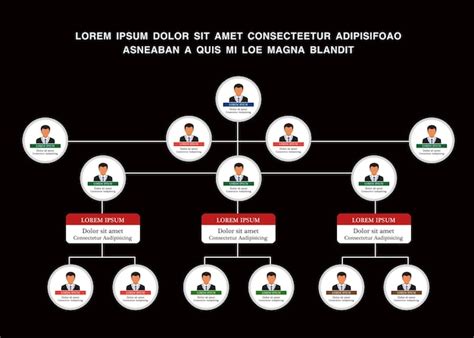 Premium Vector Organization Chart Infographics