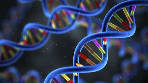 Foundations Of Genetics And Genomics Program Stanford Online