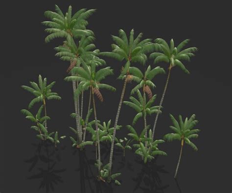 Artstation Modular Assai Palm Trees Euterpe Oleracea Game Assets
