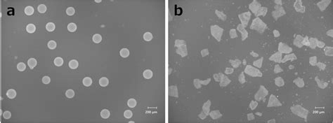 The Microscopic Image Of Spherical A And Fragmented B Polyethylene Download Scientific
