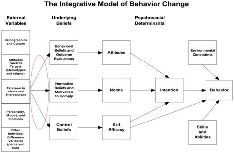 How Sources Of Sexual Information Relate To Adolescents Beliefs About Sex Pmc