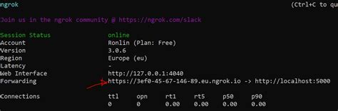 A Simple Guide To Ngrok